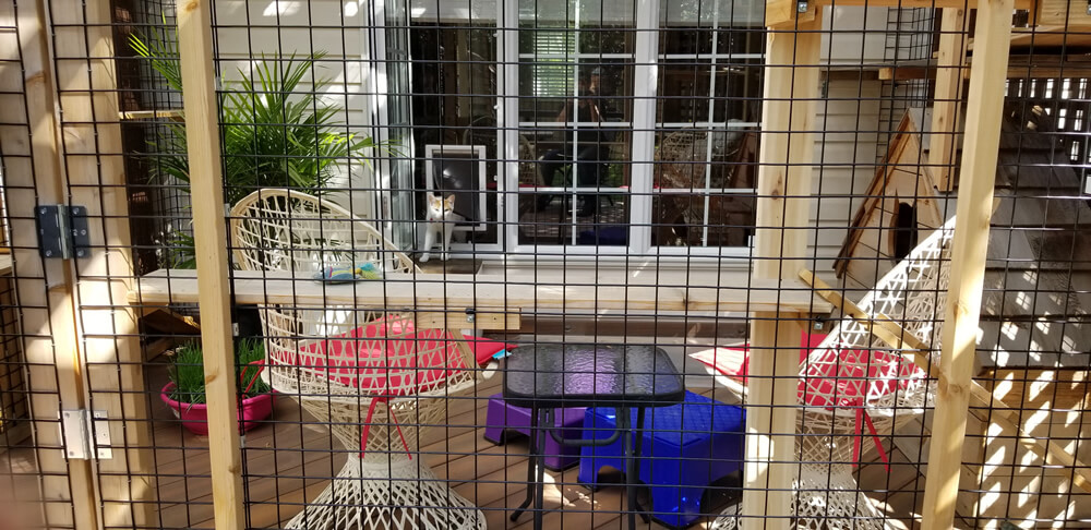 Photo Gallery: Deck Enclosures for Cats